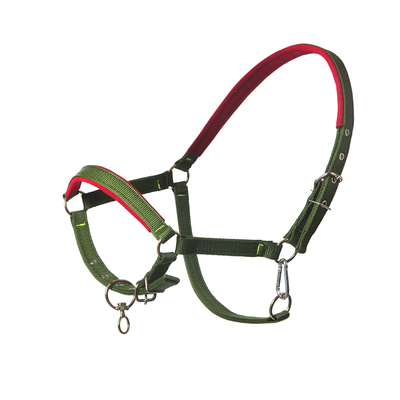 马笼头马笼嘴马嘴笼套拉马马笼牵马龙头马头套绿色大马小马矮马