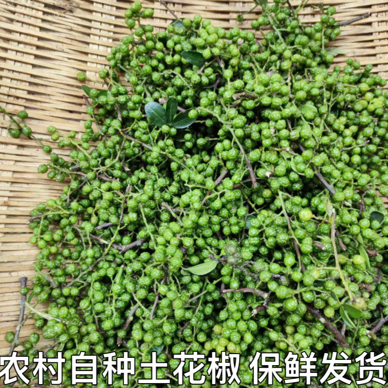 新鲜青花椒湖北宜昌农家青花椒本地土花椒新花椒生麻椒鲜青藤椒