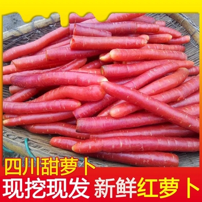 农家自种新鲜红萝卜四川红心甜萝卜生吃沙地水果红胡萝卜辅食蔬菜