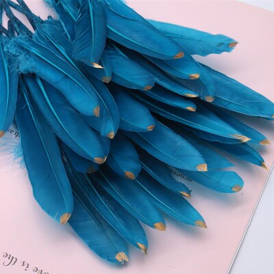 喷金渐变羽毛摆件拍摄装饰品道具制作手工拍照多色背景彩色氛围