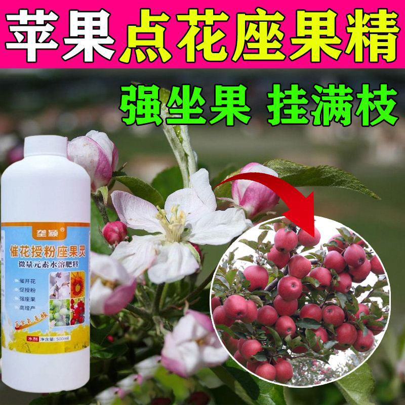 苹果树【不开花】只开花不结果促花催花促花芽分化生长调节剂保果
