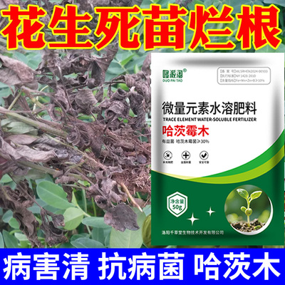 花生死苗烂根修复剂黄叶白绢病根腐病茎腐病早落叶青枯果腐叶面肥