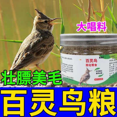提性催鸣叫声营养壮膘百灵鸟食