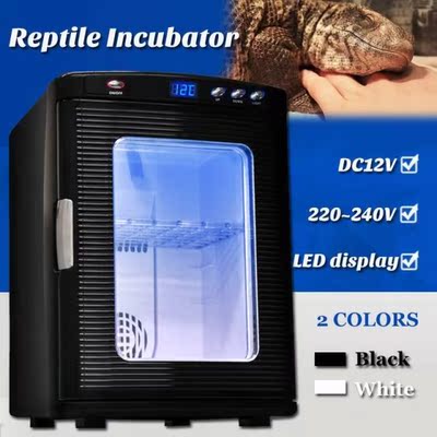 40W/50W 12V/220V-240V 25L Professional Farm Hatchery Incubat