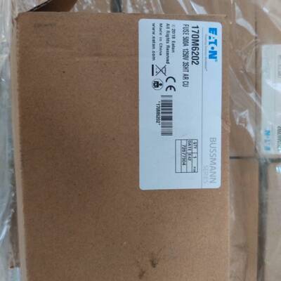 巴斯曼BUSSMANN熔断器170M6202。