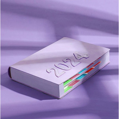 2024 planner notebook daily A5 400 Page green blue pink red