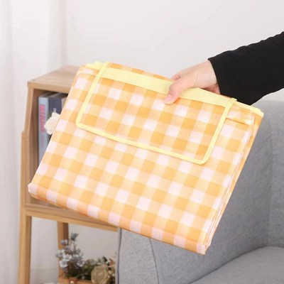 速发a水外野游野炊野营沙滩帐篷春餐垫防潮垫加厚地垫防户草坪垫