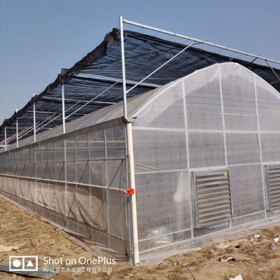 Multi-span Membrane Cover Greenhouse8440遮阳薄膜连栋温室大棚