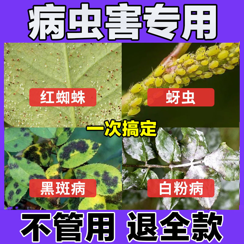 洛圣月季黑斑白粉白腐锈病黑星炭疽专用花卉绿植果蔬通用叶斑病药