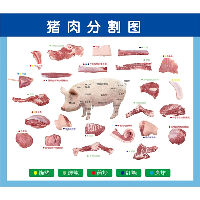 市场超市猪肉分割分切图部位图写真海报印制喷绘订定制做