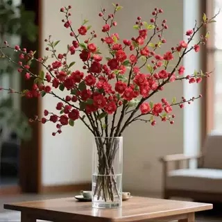 腊梅年宵花卉【送营养液】