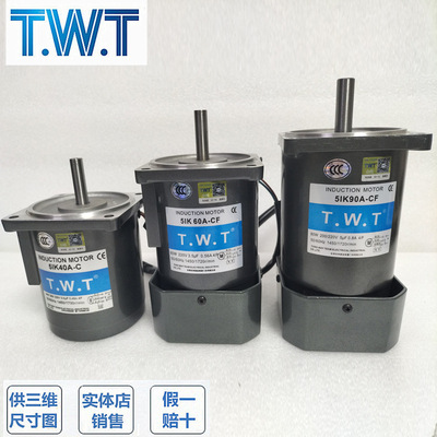 TWT电机5IK40A-C 5IK60A-CF 5IK90A-CF 5IK120A-CF 5IK150A-CF