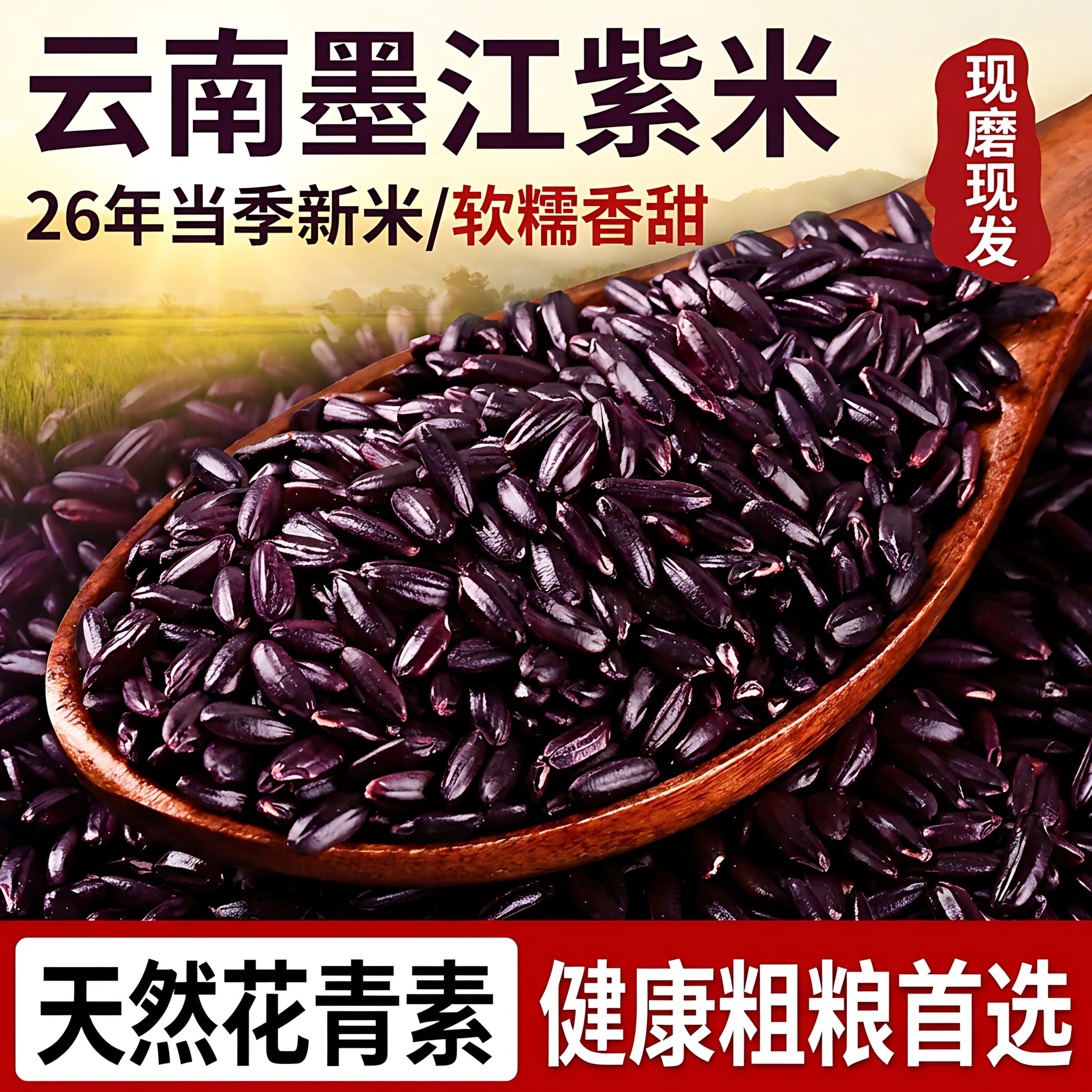 正宗云南墨江紫米官方旗舰店新米血糯米八宝饭团专用材料紫糯米