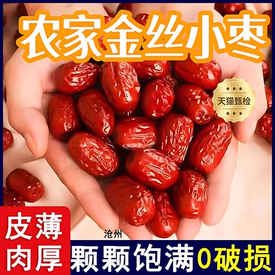 河北沧州金丝小枣无核枣