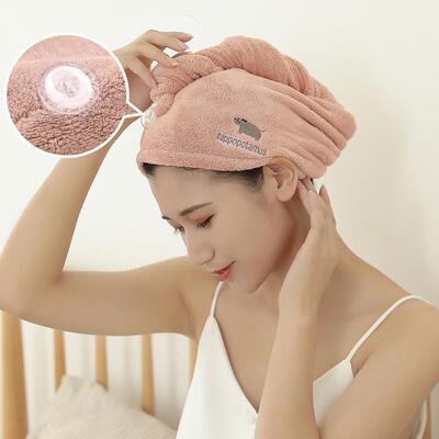 2025 New Style Women's Super Absorbent Quick-Dry Hair Drying