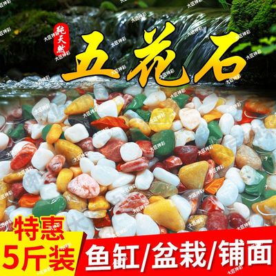 天然彩色石子五彩石花盆栽多肉铺面雨花五花石子鱼缸底砂造景装饰
