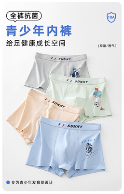 泰恩熊青少年内裤10A抑菌男孩春季平角短裤中大童发育期学生内裤