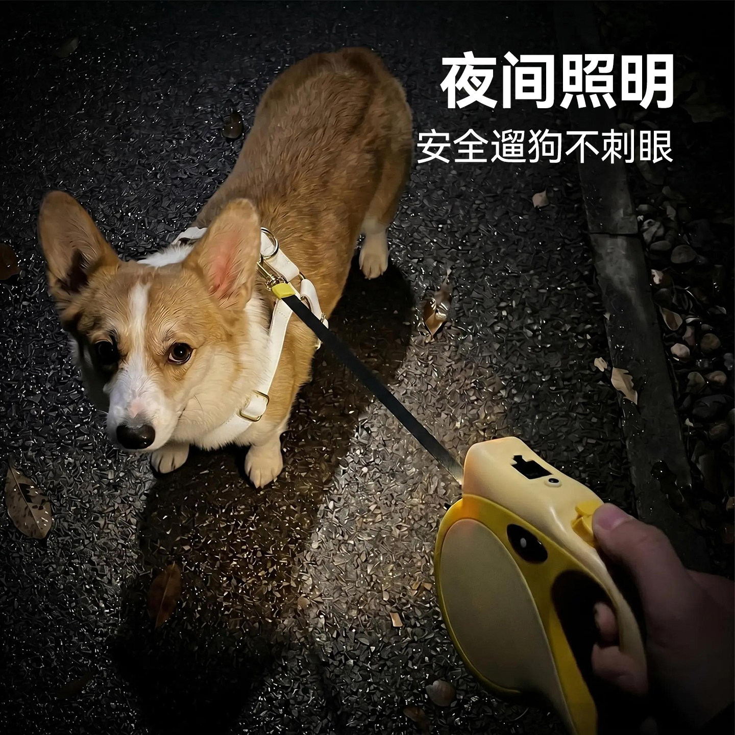 狗狗牵引绳狗炼子中型小型犬宠物泰迪柯基遛狗神器自动伸缩狗绳子