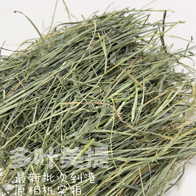 进口赛级提摩西|美提一番二压| 高山雪水灌溉| 兔兔豚鼠龙猫主草