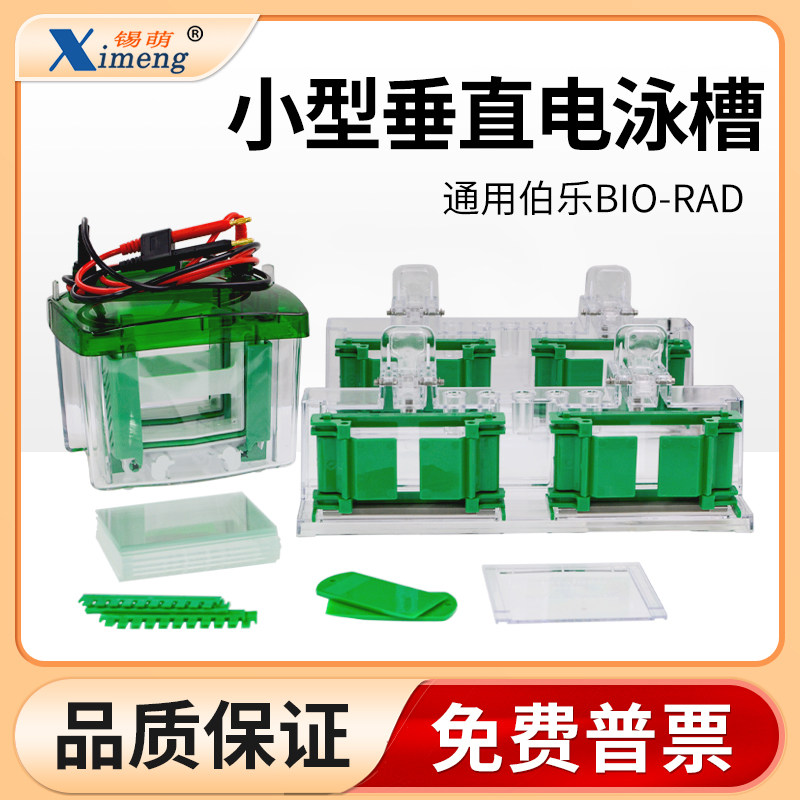 WB小型垂直电泳槽蛋白槽制胶槽 含制胶系统通用BIO-RAD伯乐/天能