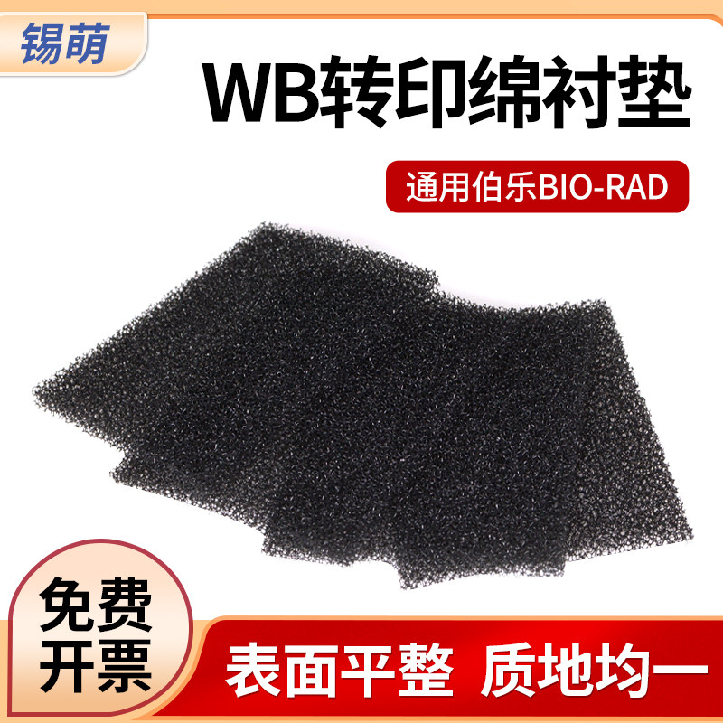 wb转印棉 湿转转印海绵垫 海绵衬垫 多孔垫 通用伯乐1703933/天能