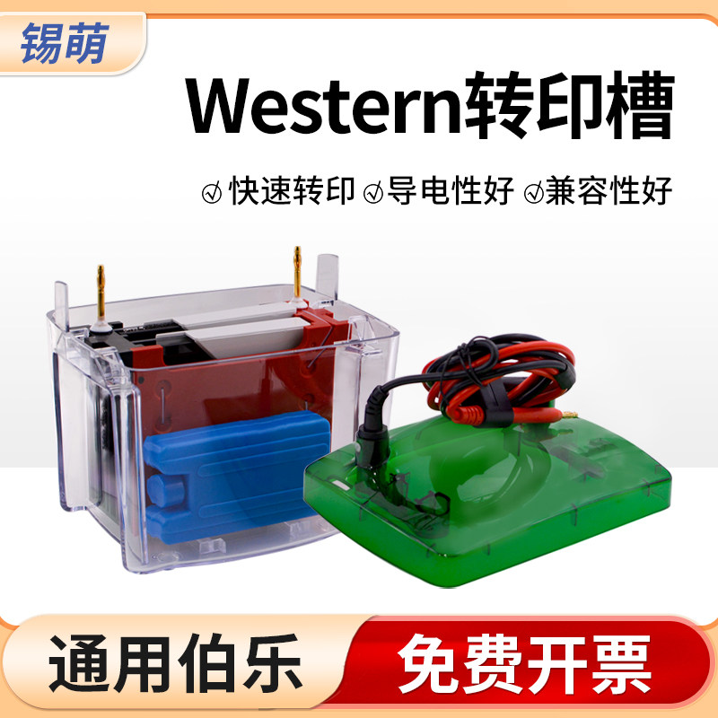 通用bio-rad伯乐wb蛋白转印槽湿转2块胶多孔海绵垫冰盒转印电极芯