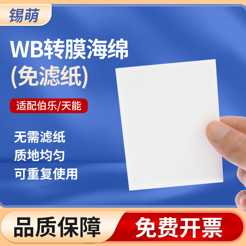 锡萌WB免滤纸转印棉转膜海绵湿转衬垫Western blot通用伯乐/天能