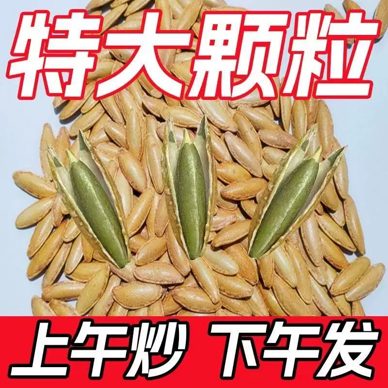 热销款2026新货正宗新疆美人甲南瓜子官方旗舰店美人甲南瓜子长粒