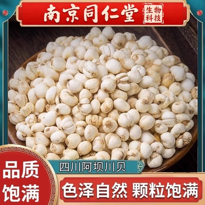 南京同仁堂野生川贝正品浙贝母纯正四川阿坝产地直销全怀中抱月