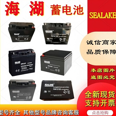 SEALAKE海湖蓄电池FM12220FM1270FM12380FM121000FM12170FM12650