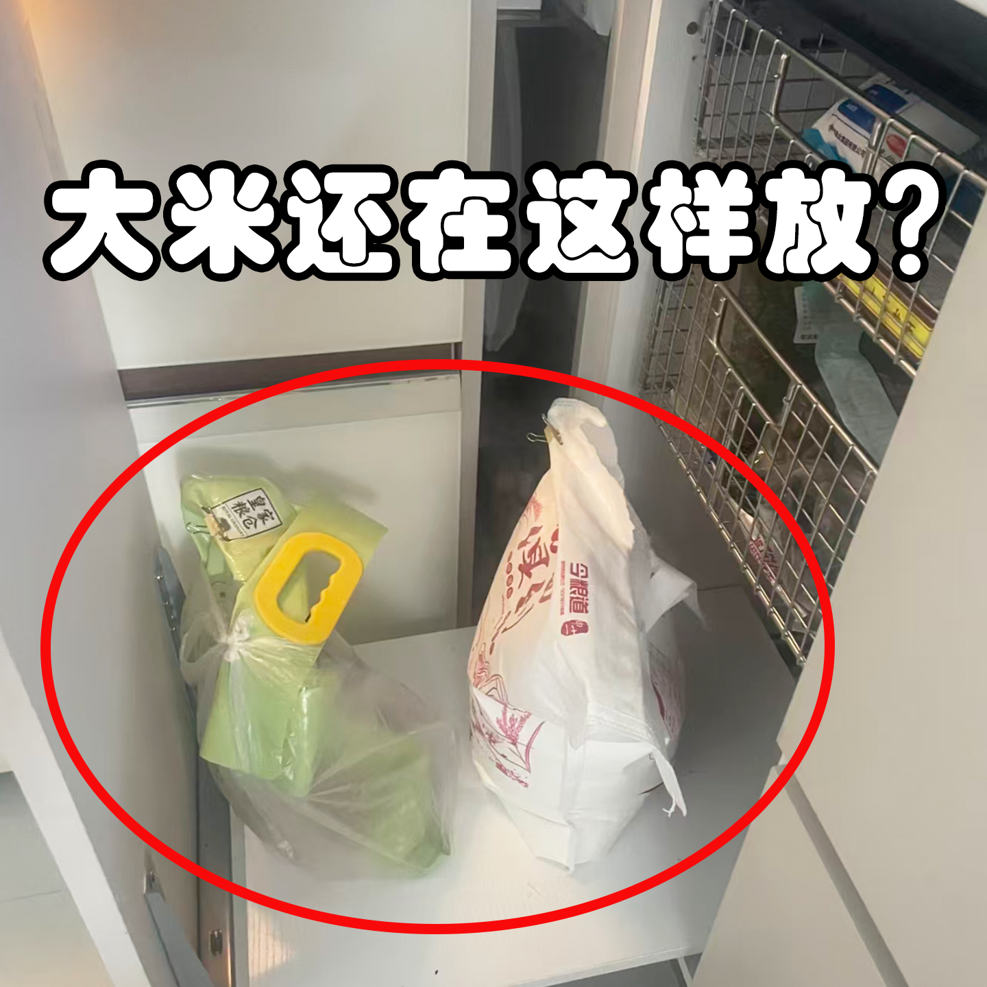 新款装米桶家用密封防虫防潮大米滑盖容器储存罐食品文化创意餐具