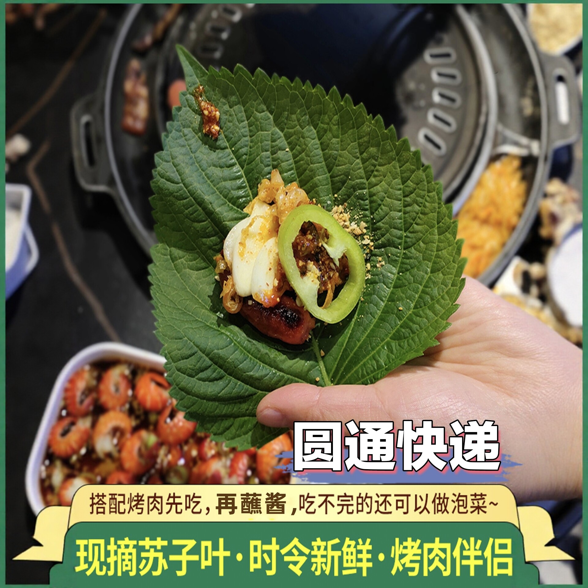 新鲜苏子叶包饭叶韩式烤肉紫苏叶蔬菜粘豆包叶蘸酱菜散装包邮