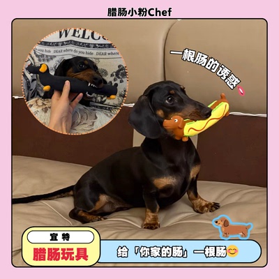【一根肠】宜特宠物狗狗发声玩具解闷神器磨牙防拆家腊肠比格玩具