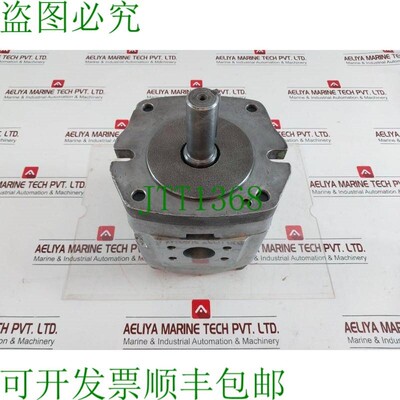 原装供应那智藤越 IPH-5B-50-11 Ingranaggio Pompa 530 105050