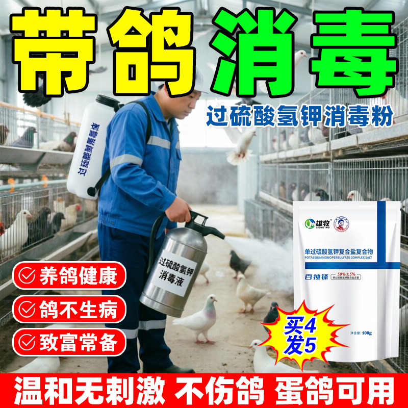 鸽舍专用消毒液过硫酸氢钾消毒粉鸽棚消毒鸽子笼养殖场消毒剂专用