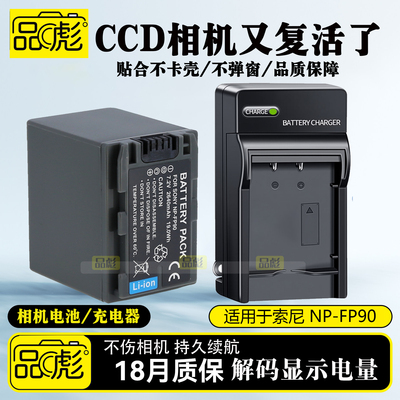 适用于索尼DCR-SR100E电池充电器