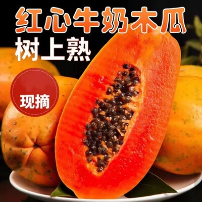 红心木瓜冰糖心红肉水果木瓜口感软糯香甜细腻孕妇水果多汁香甜