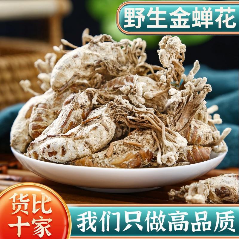 大别山野生金蝉花2026新货蝉花虫草粉中药材金蚕花新鲜知了花500g
