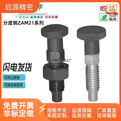 分度销粗牙覆位/自锁型Z