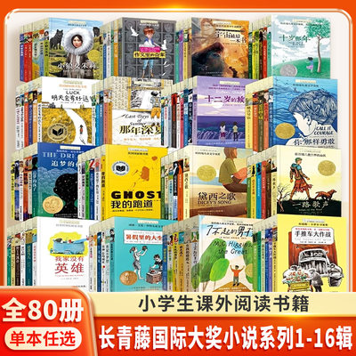 长青藤国际大奖小说十二岁的旅程