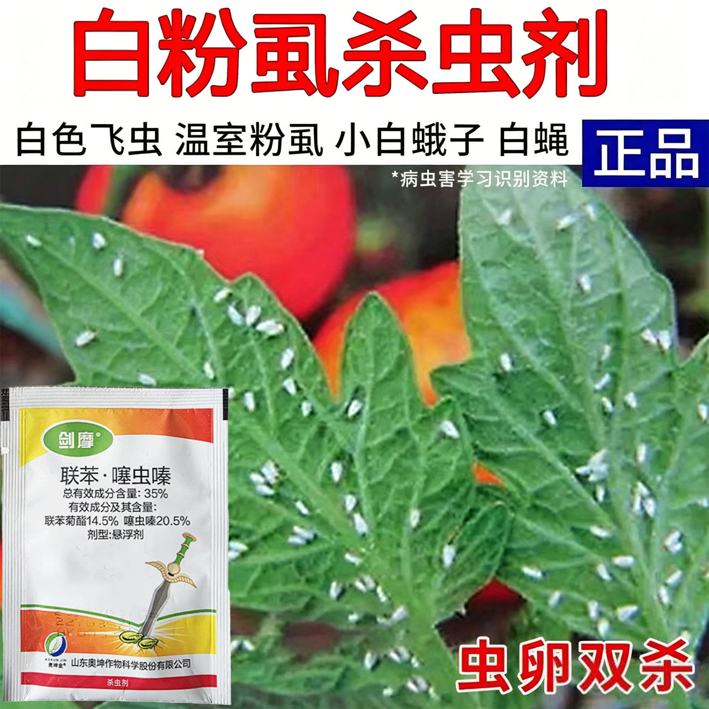 白飞虱白粉虱专用药杀虫剂小飞虫辣椒黄瓜蔬菜白粉虱花卉蔬菜农药