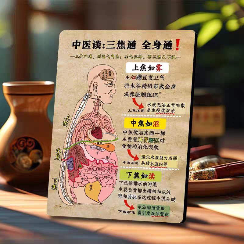 中医三焦系统疏通图解木制相框装饰摆中医馆按摩院摆台送朋友长辈