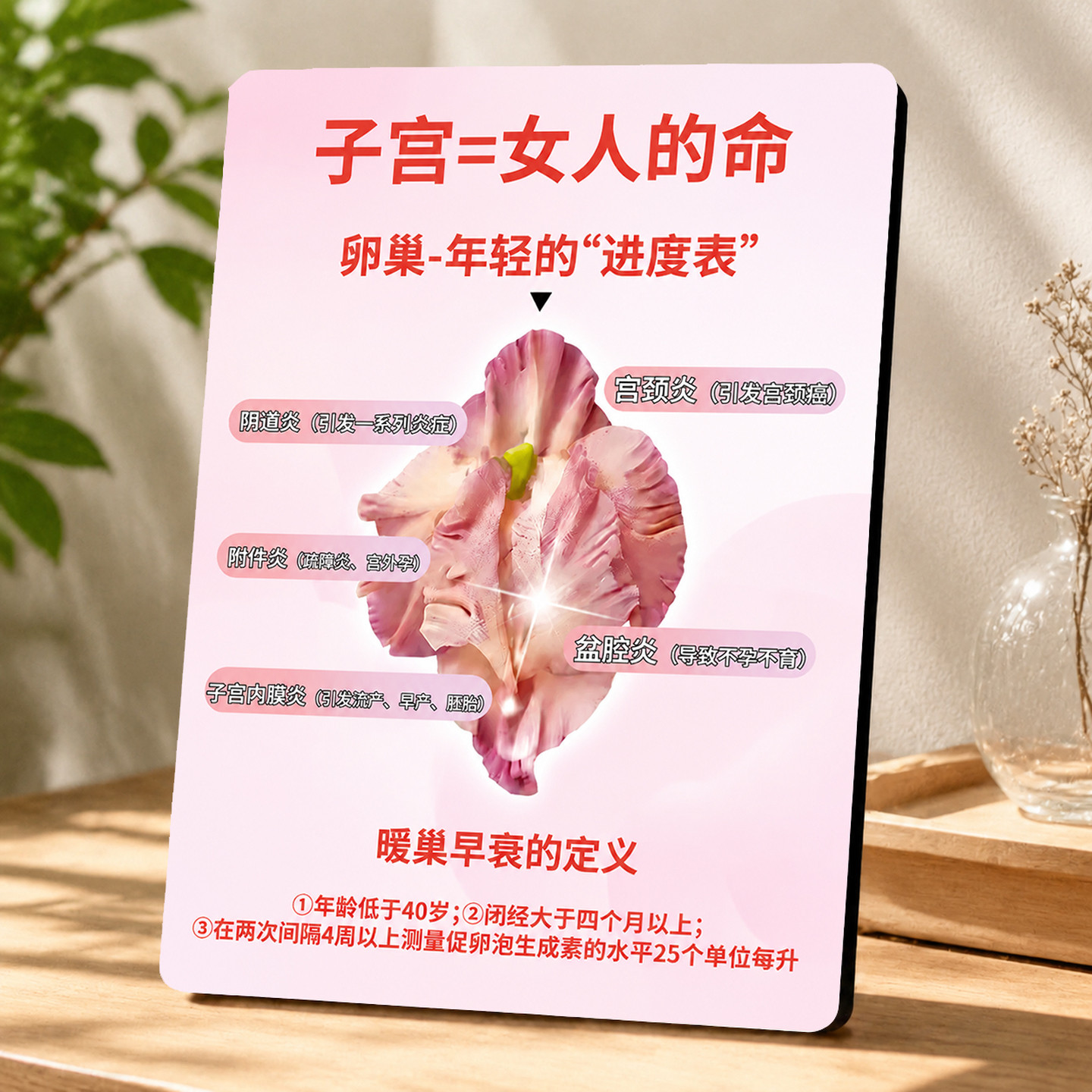 养生馆女性子宫保养知识装饰摆件美容院暖巢护理科普展示牌