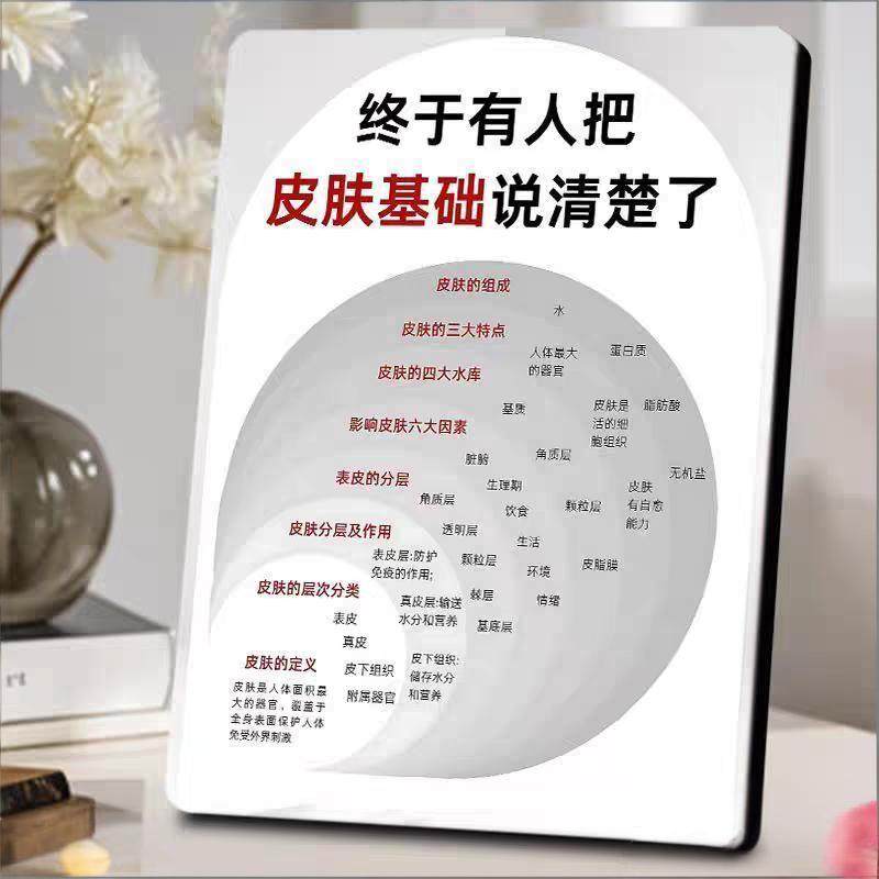 面部基础解析美容院护肤品店摆件摆台五种肤质护肤装饰品立牌相框