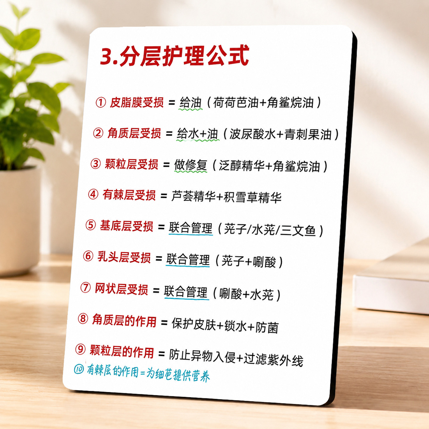 皮肤分层护理公式摆件美容院前台桌面护肤知识展示装饰立牌