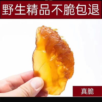 野生特级海蜇头红海蜇头5斤桶装不脆包退免费包邮