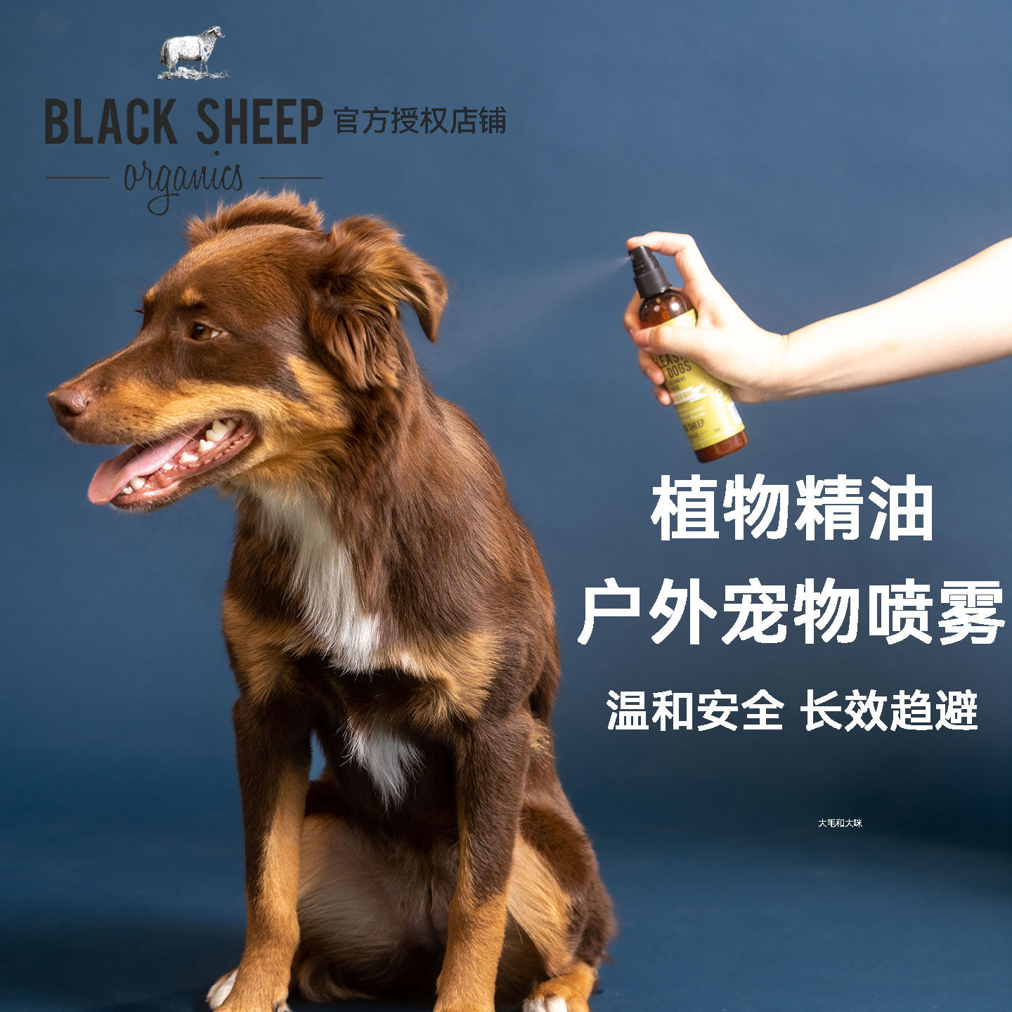 BlackSheep加拿大黑羊狗狗户外防护驱虫喷雾夏季户外防虫有机精油
