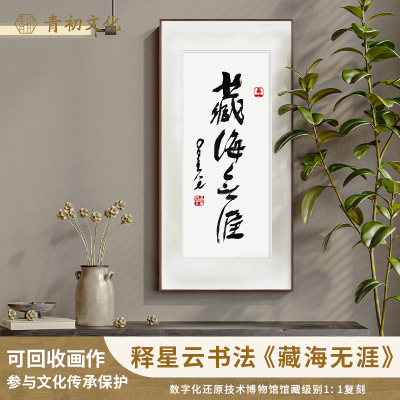 星云大师书法藏海无涯字画装裱挂画中式客厅玄关办公室茶室装饰画