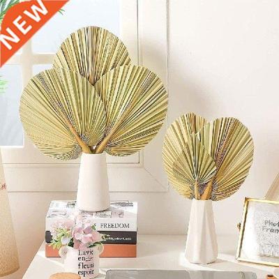 1PCS Palm Fan Leaf Dried Flower Palm Leaf Window Reception