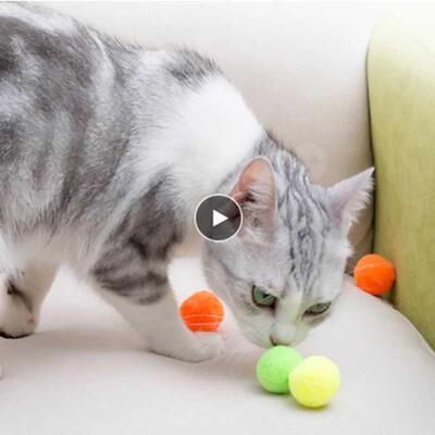 10/20/30 Pcs Cat Toys Chew Ball Colorful Sretch Plush Entert